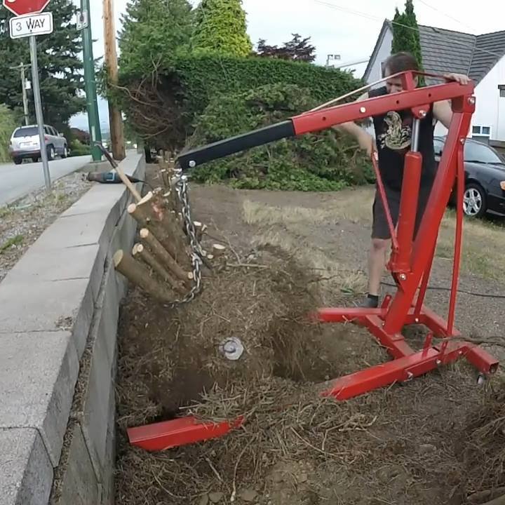 Homemade tree stump removal in action – Canvids