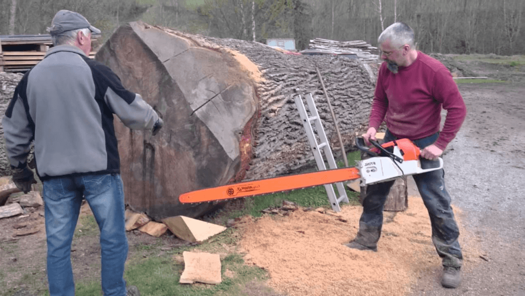 Stihl MS 880 8,7 horsepower 105cm vs big tree – Canvids