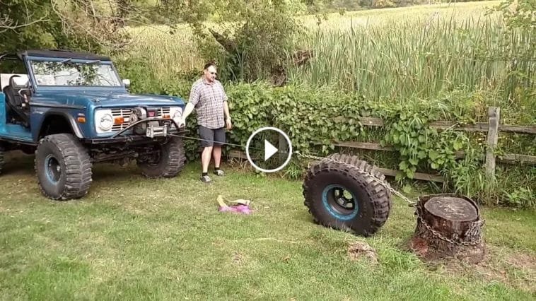 American way to pull out a tree stump – Canvids
