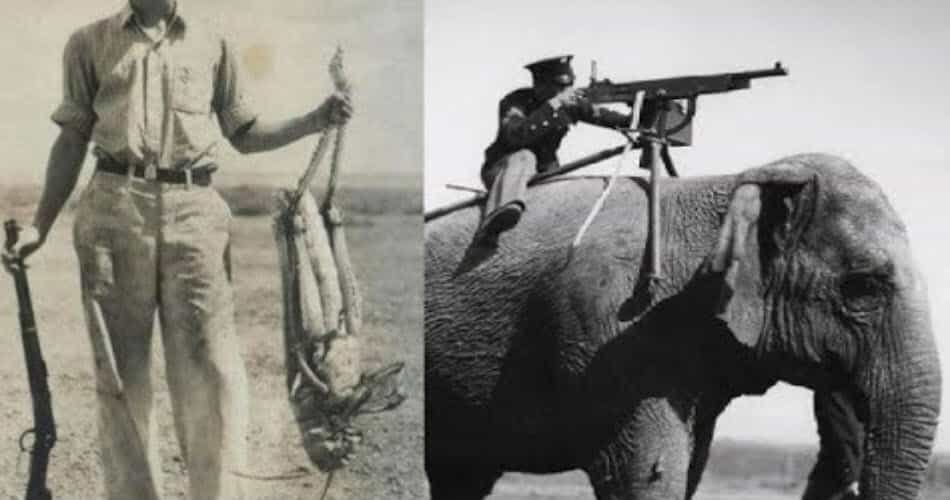 75 rare historical images you have to see before you die – Canvids