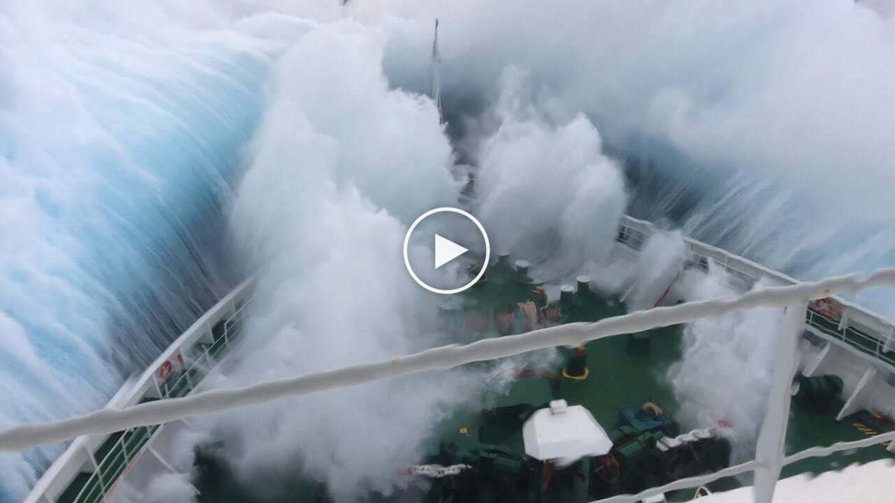 Cruise ship vs big wave – Canvids